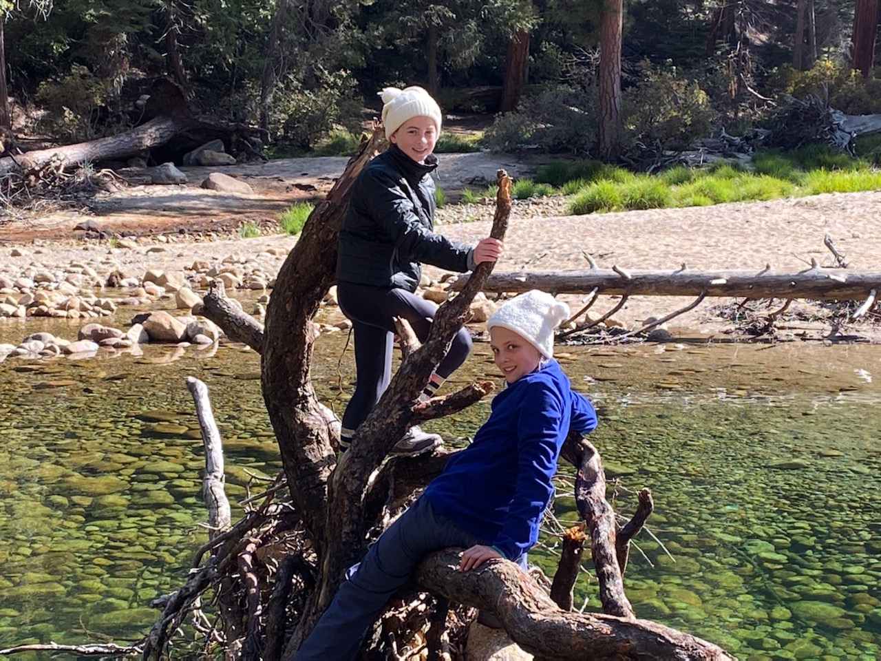 Yosemite Field Experience – FRIDAY BLOG