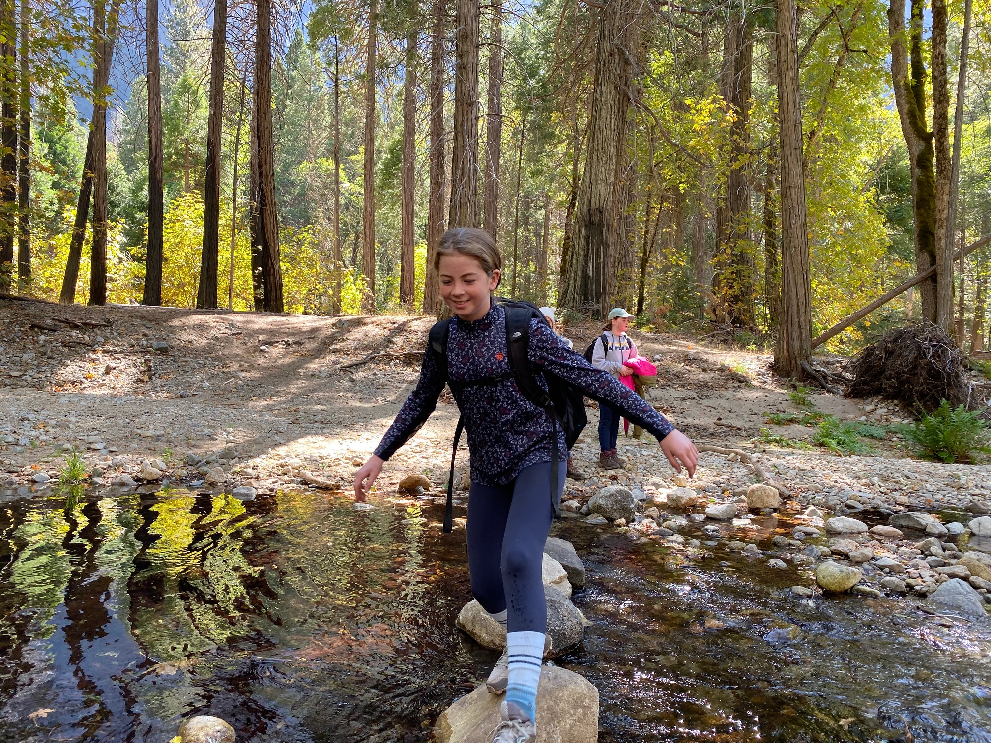 Yosemite Field Experience – FRIDAY BLOG