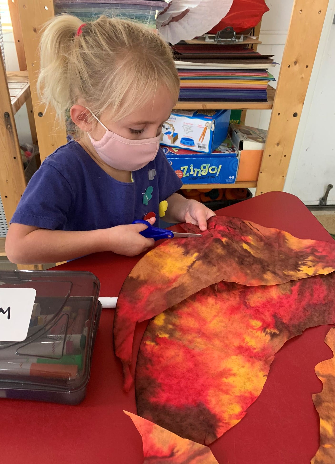 Collaborative Owls – FRIDAY BLOG