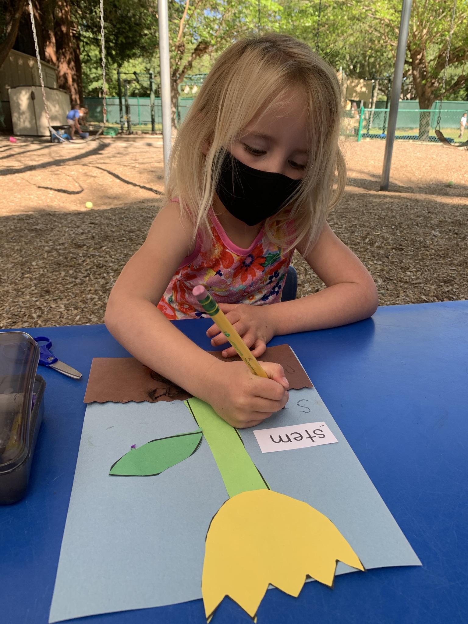 Signs of Spring – FRIDAY BLOG