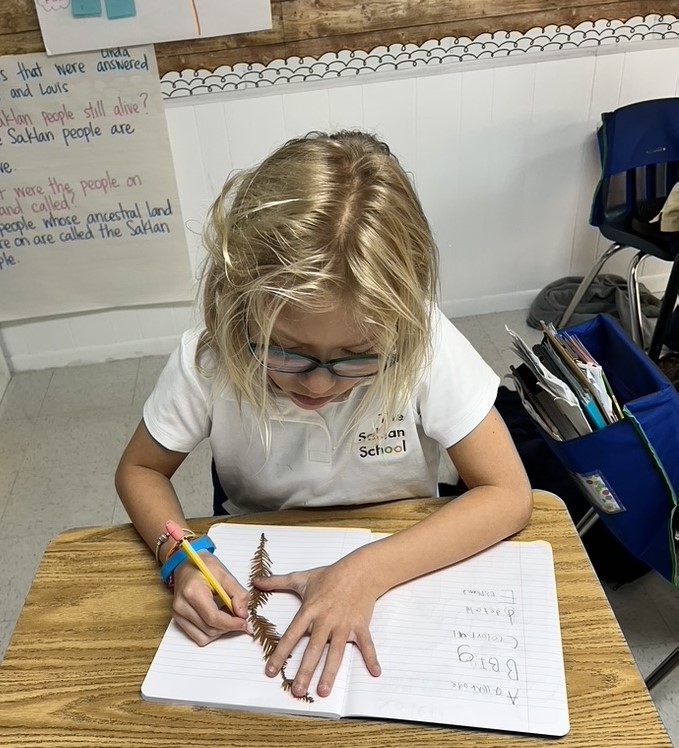 Scientific Sketches – FRIDAY BLOG