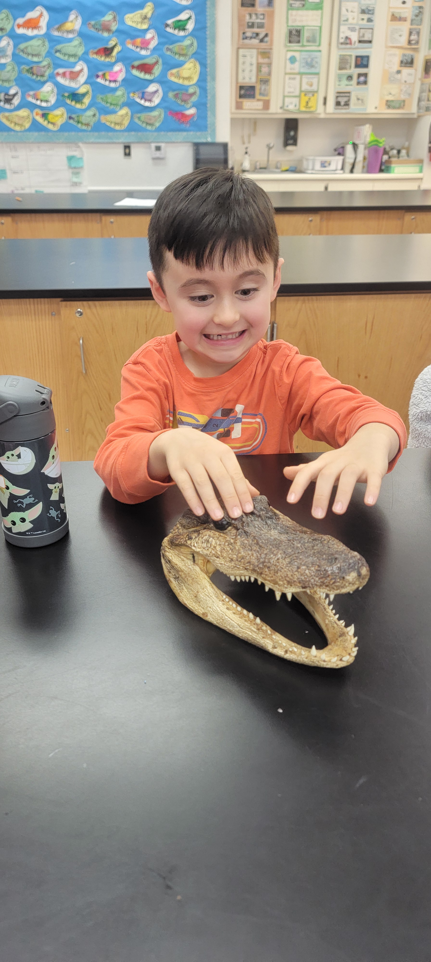 Importance of a Backbone – FRIDAY BLOG