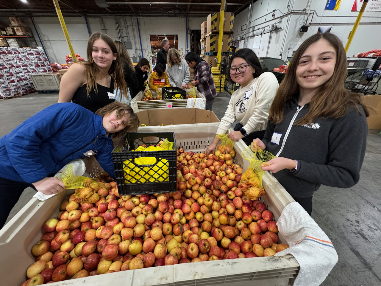 Bagging Apples – FRIDAY BLOG